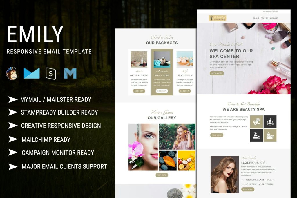 Emily - Responsive Email Template Great email template to multiple your ...