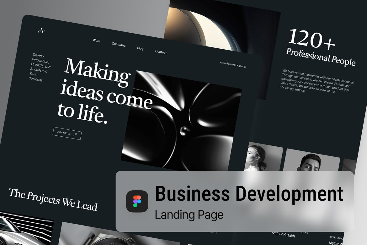 Business Development Landing Page Figma Design - Prime Access