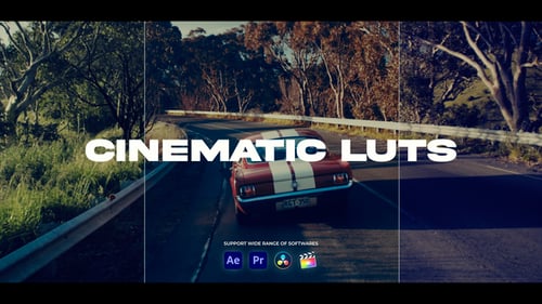 LUTs Pack | FCPX Apple Motion Template - Prime Access
